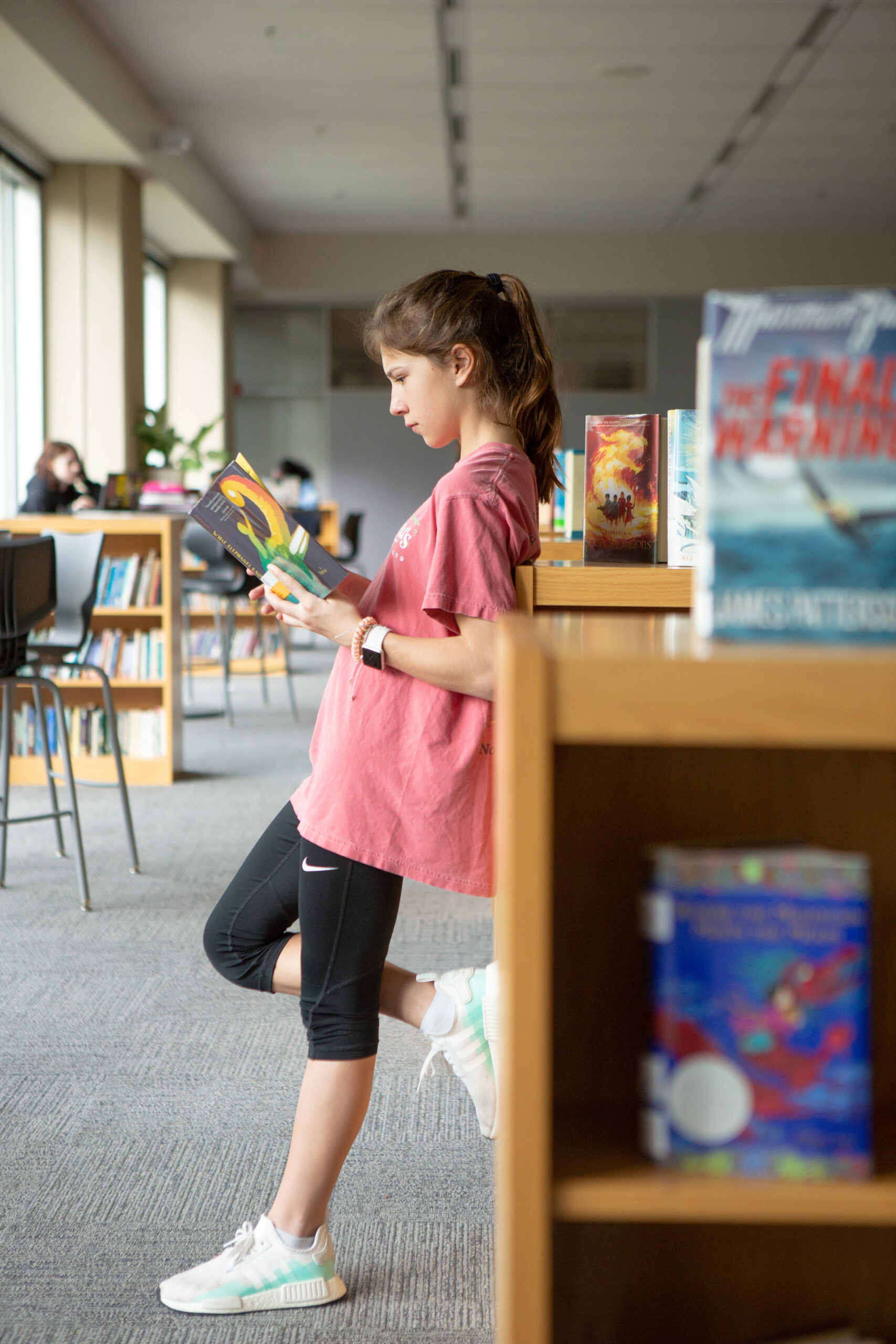 Adolescent Literacy: Bridging the College- and Career-Readiness Gap ...