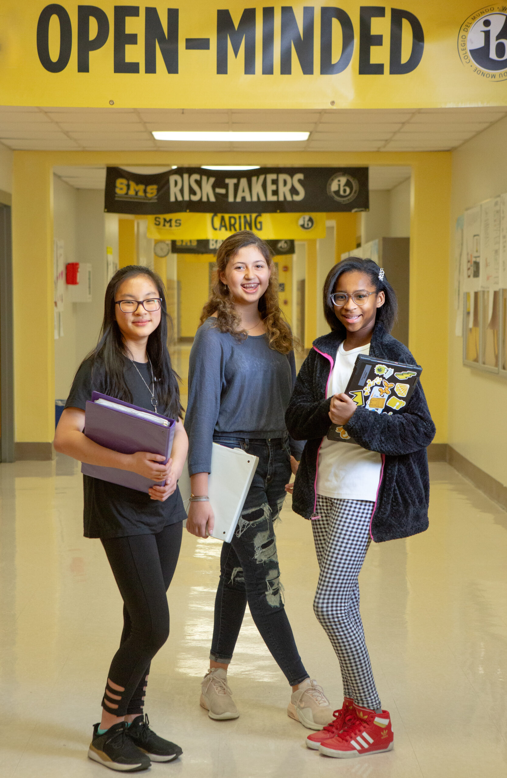 Healthy Minds, Strong-Futures: Aligning Systems to Advance Adolescent Development for Youth in ...